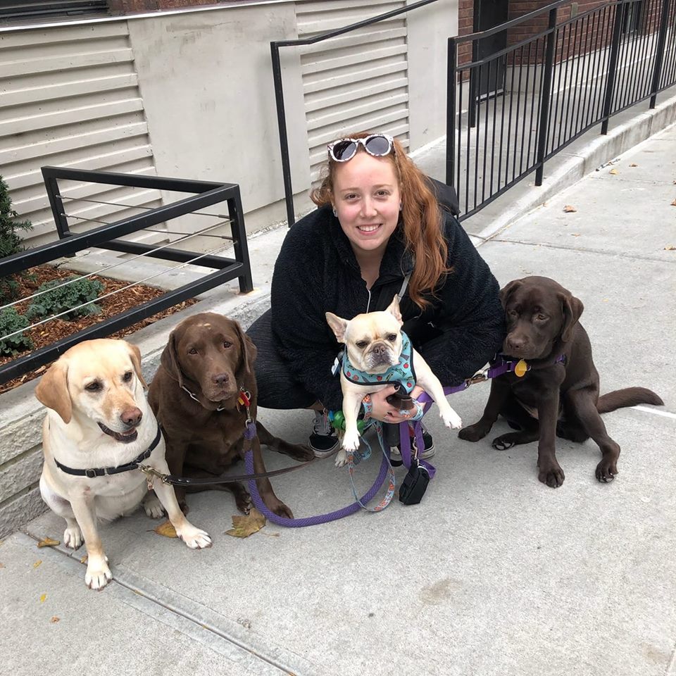 Wings, Wags and Whiskers